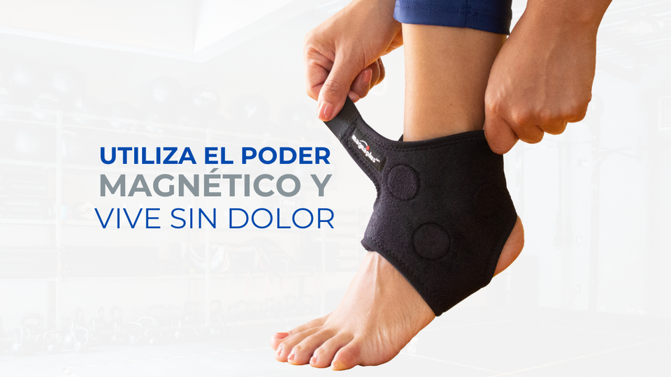 Productos Magnéticos – Magnaplus