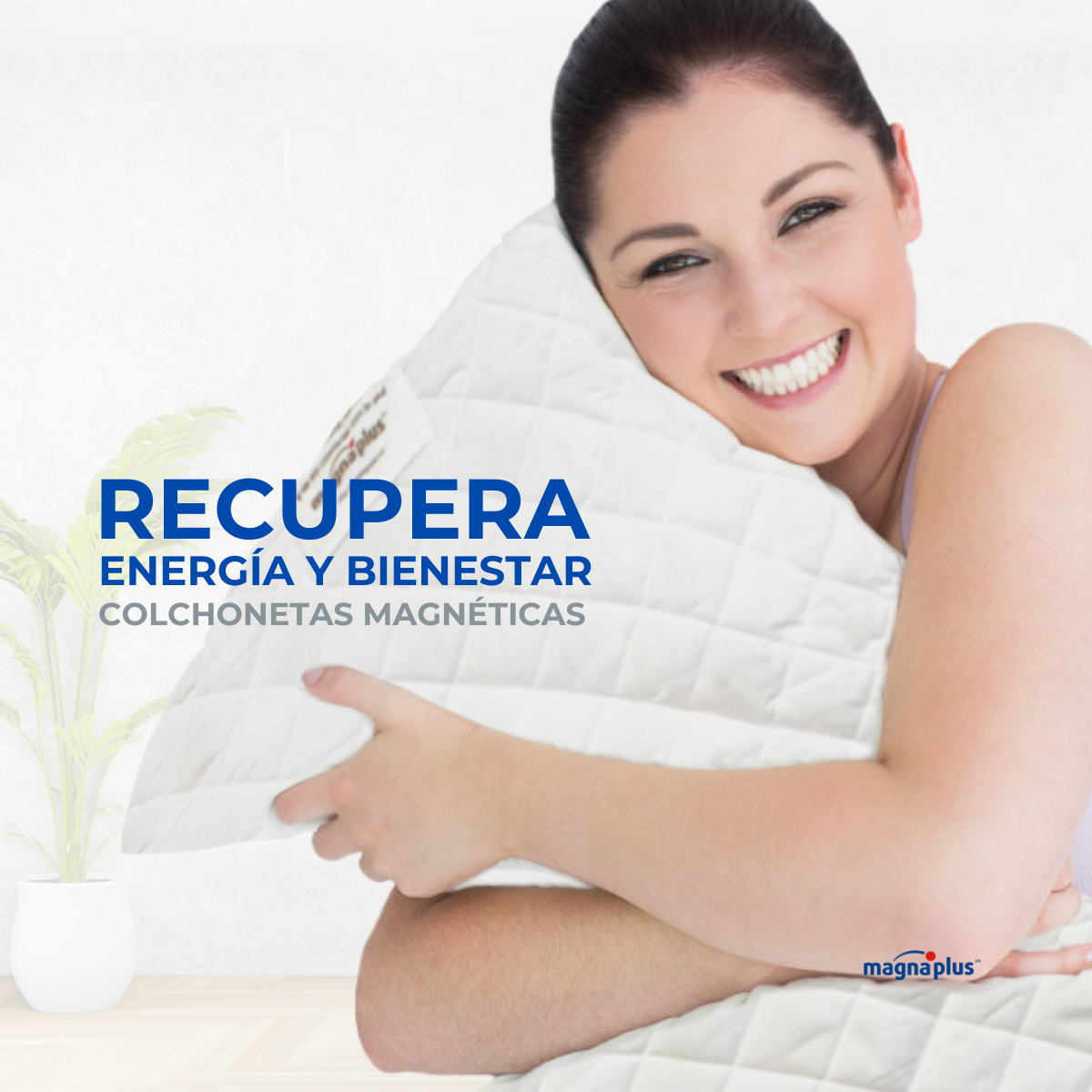 Productos Magnéticos – Magnaplus