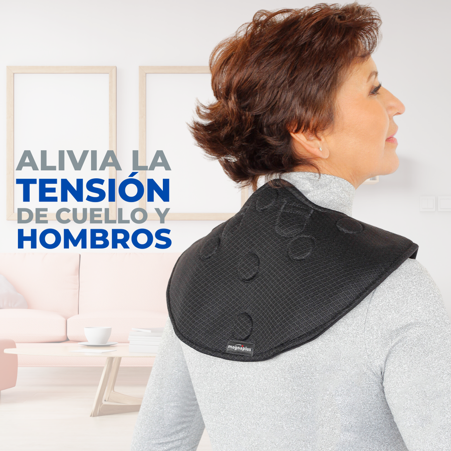 Productos Magnéticos – Magnaplus